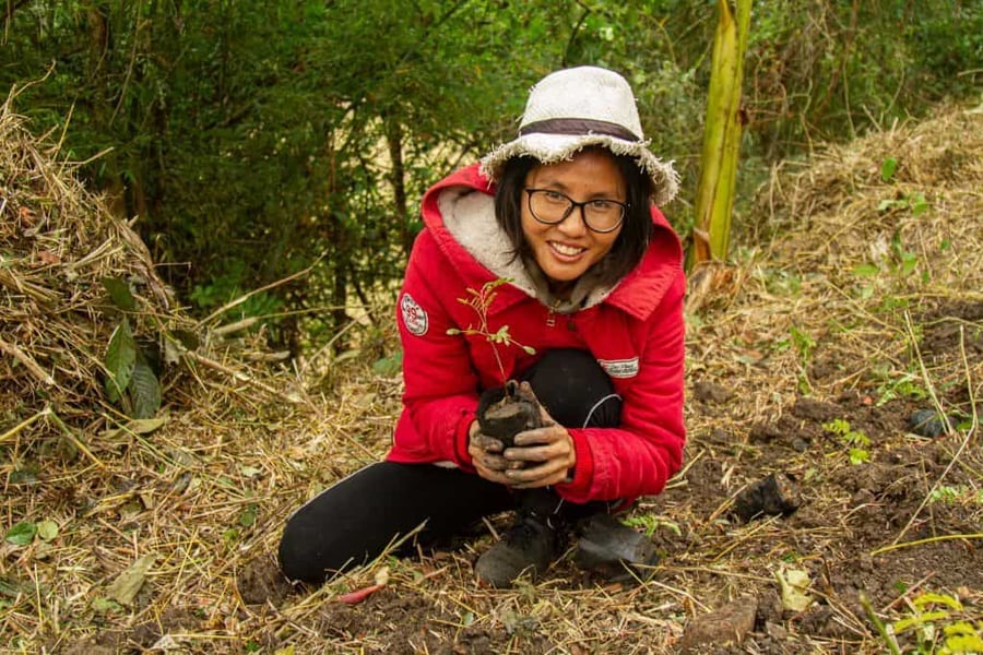 Sustainability - You Can Help Replenish the Forests!